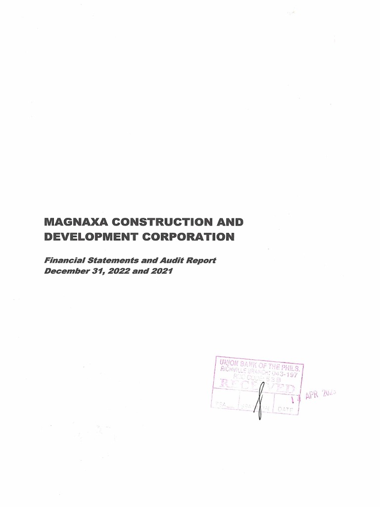 Financial Statement MCDC | PDF