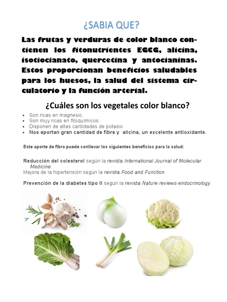 Alimentos Color Blanco 1 | PDF