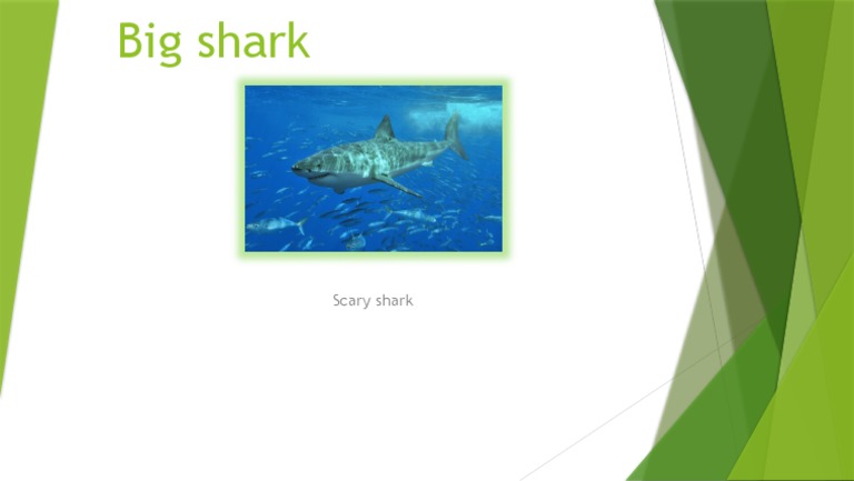 Big Shark | PDF