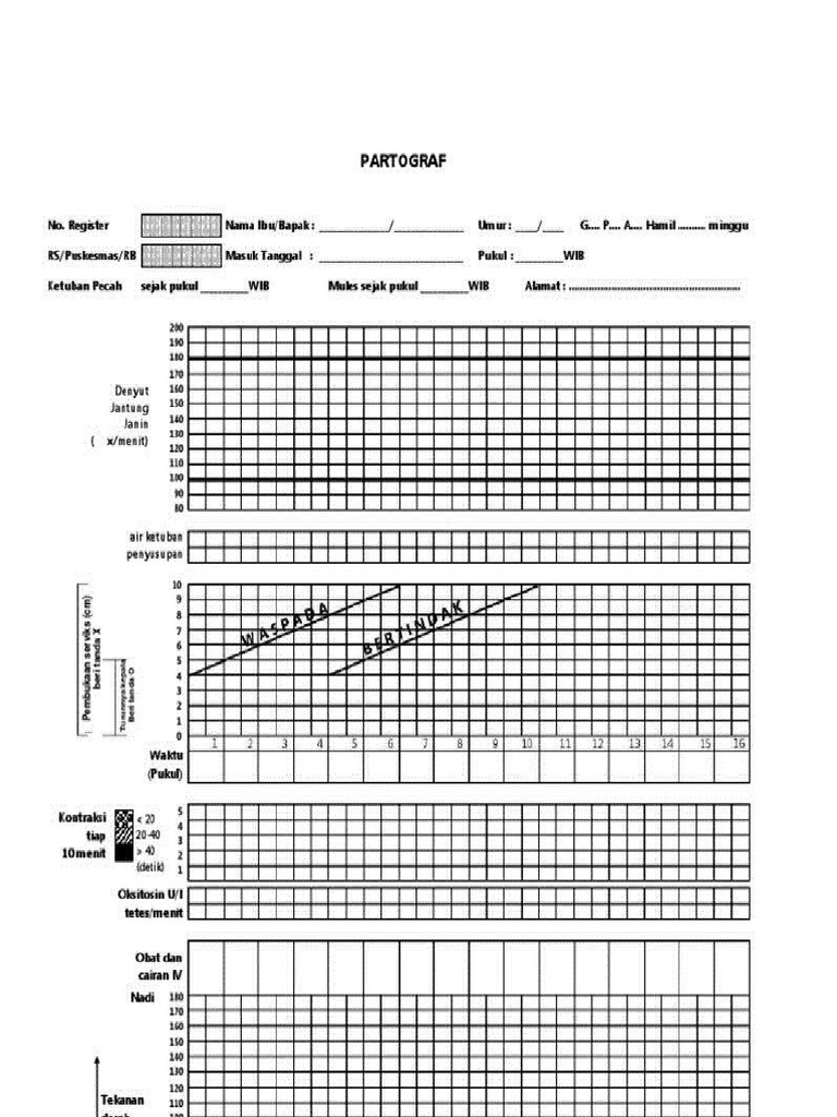 Partograf Kosong | PDF