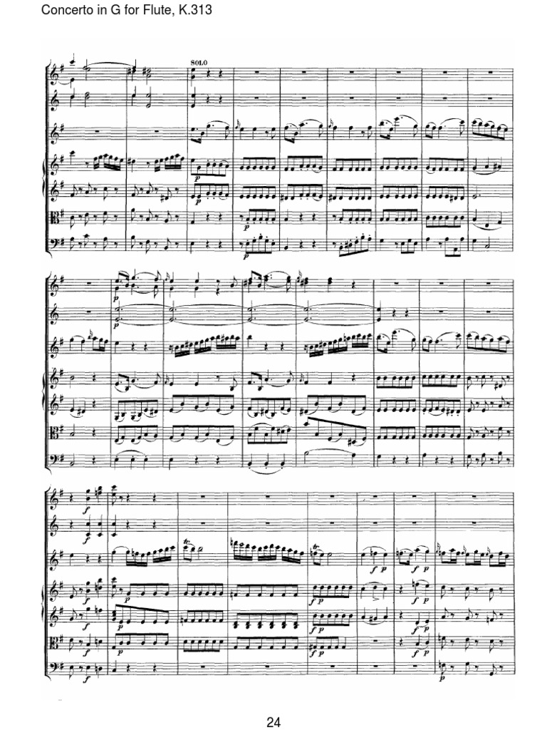 IMSLP16597 Mozart - K.313 24 | PDF
