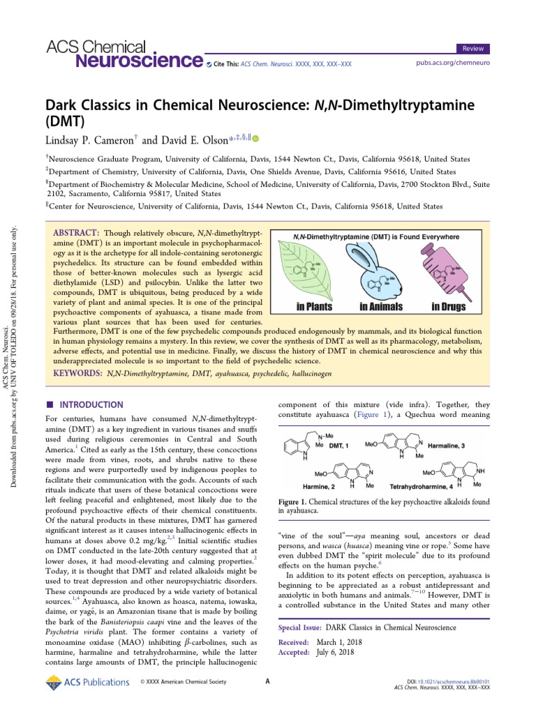 DMT Dark | PDF | Ayahuasca | Serotonin