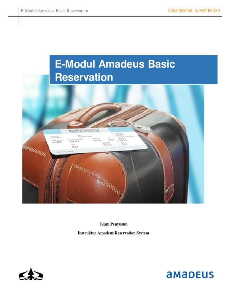 Modul E-Reservation Amadeus | PDF | Companies | Airlines