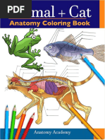 Veterinary Anatomy Coloring Pages | PDF | Pelvis | Gastrointestinal Tract