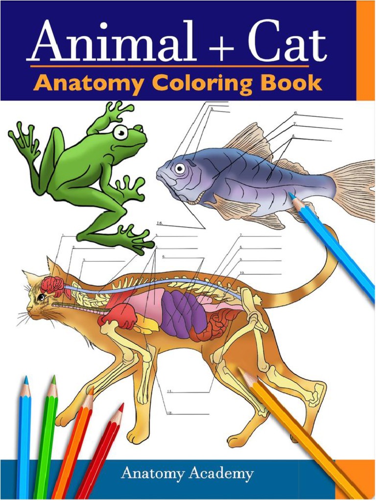 Animal_and_Cat_Anatomy_Coloring_Book | PDF | Pelvis | Limbs (Anatomy)