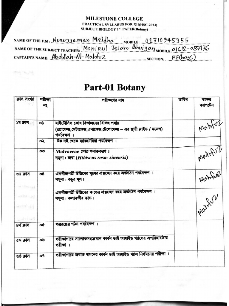 Practical HSC 23 | PDF