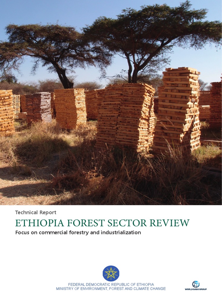 Ethiopia FSR Final | PDF | Economic Growth | Forestry