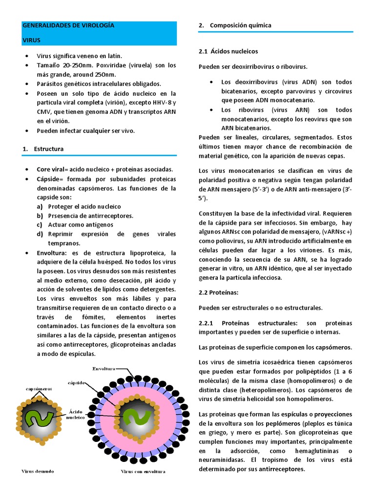 Resumen Todo Virus | PDF | Virus | Influenza