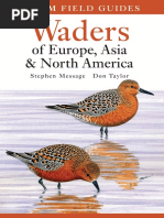 Colour Prediction | PDF