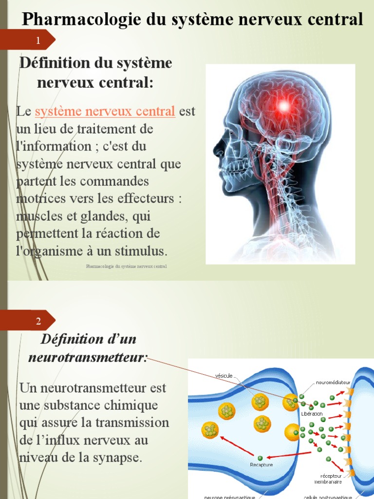 Medicament Pour Le System Nerveux Central (Nursing Francais L1S1, 20-21 ...
