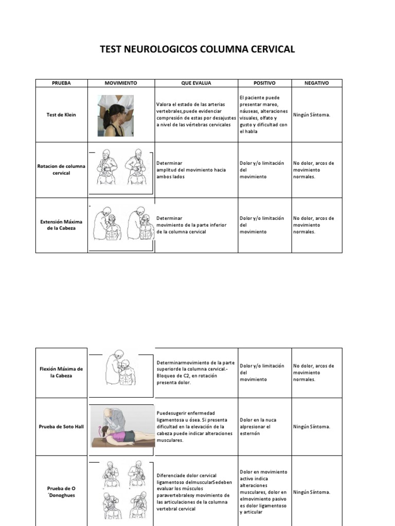 Test Cervicales | PDF | La columna vertebral | Tórax (anatomía humana)