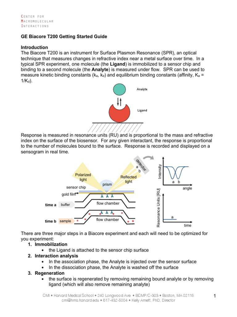 Biacore T200 Getting Started Guide | PDF | Surface Plasmon Resonance ...