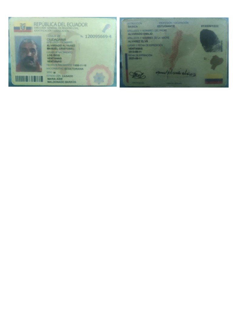 Cédula de Papá | PDF