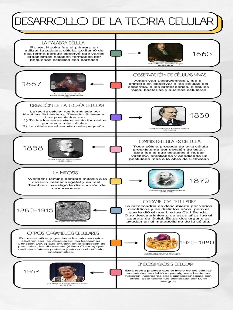 Linea de Tiempo: Teoría Celular | Descargar gratis PDF | Biología ...