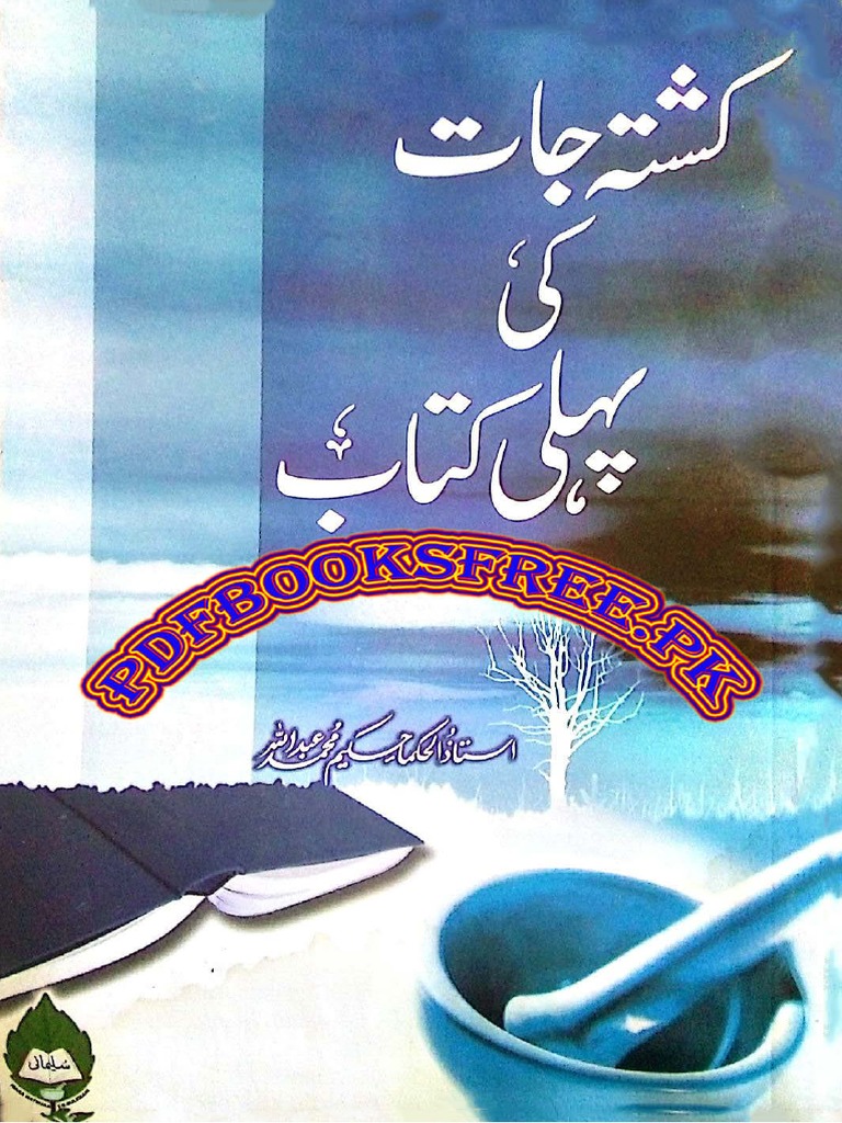 Kushtajat Ki Pehli Kitab | PDF | Foreign Language Studies | Computers