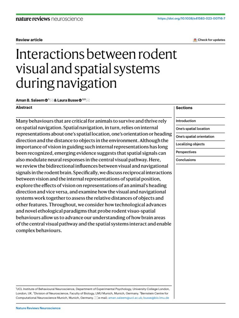 Interactions Between Rodent Visual and Spatial Systems During Navigation | Download Free PDF ...