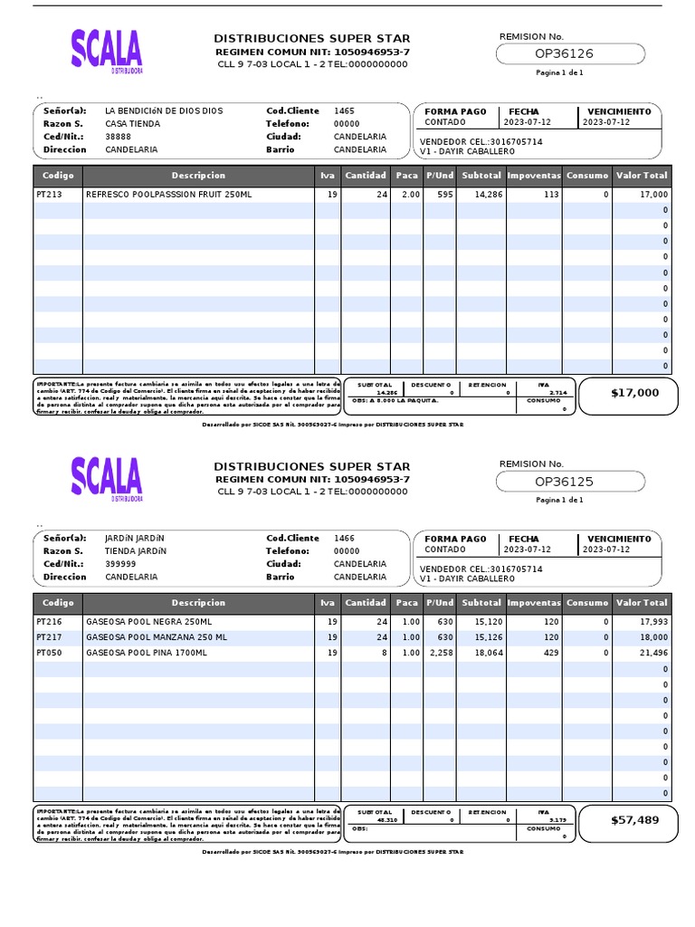 Factura | Descargar gratis PDF | Factura | Documentos empresariales