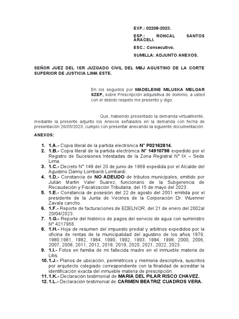 Escrito Adjunta Anexos | PDF | Gobierno