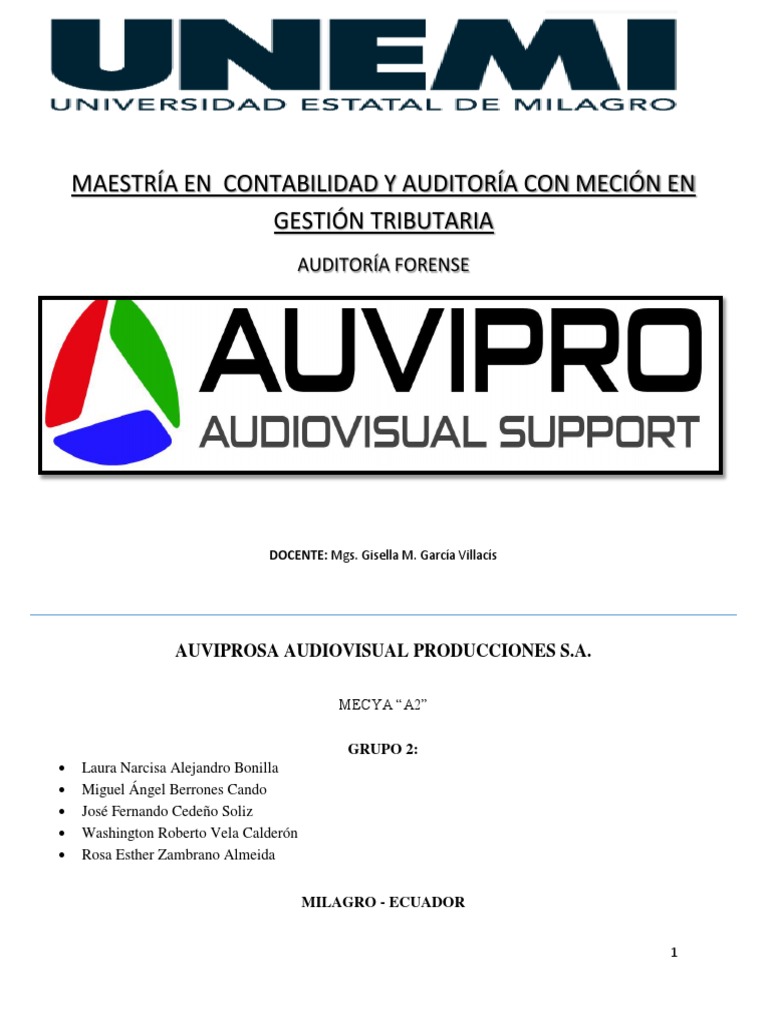 Riesgos y Control en AUVIPROSA S.A. | PDF | Salario | Auditoría