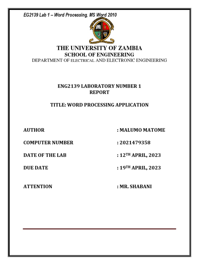 Eng2139 Laboratory Report One | PDF | Burkina Faso | Word Processor