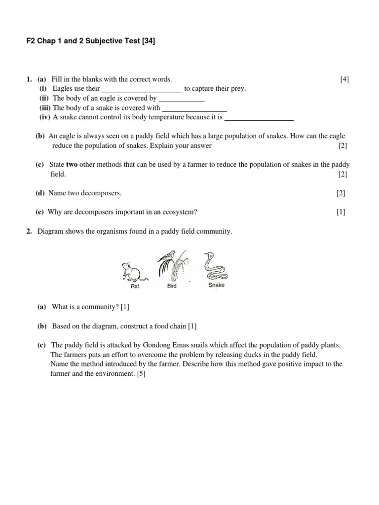 F2 Chap 2 Subjective Test | PDF