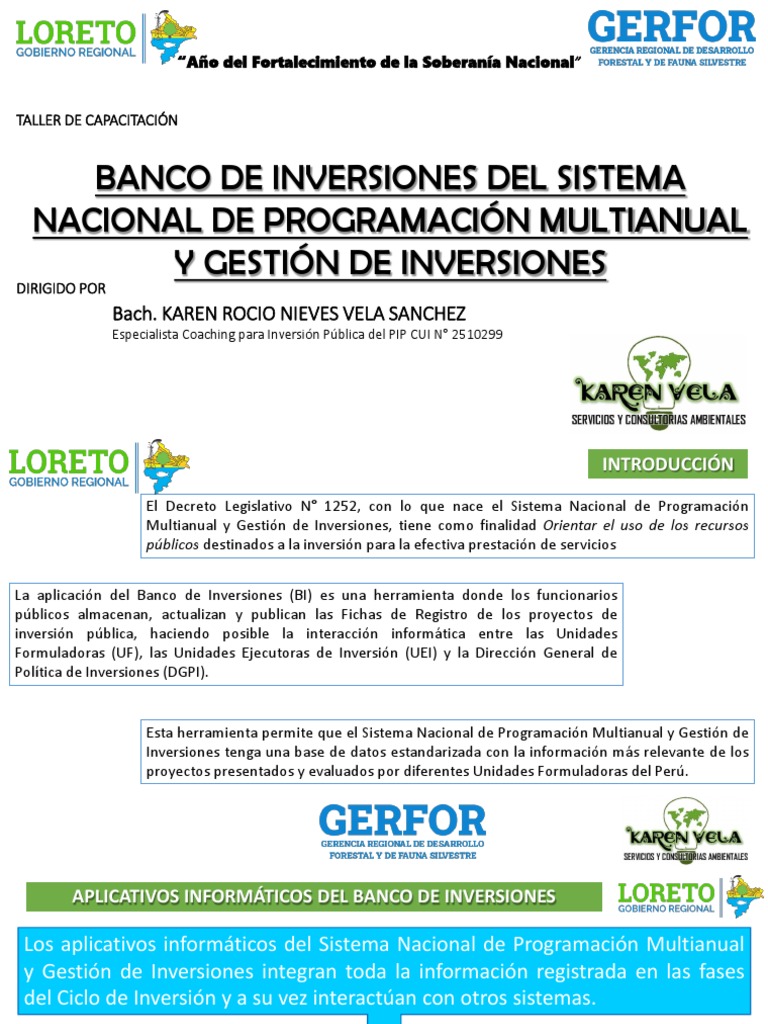 Banco de Inversiones Del Sistema de Inversiones | PDF | Red mundial ...