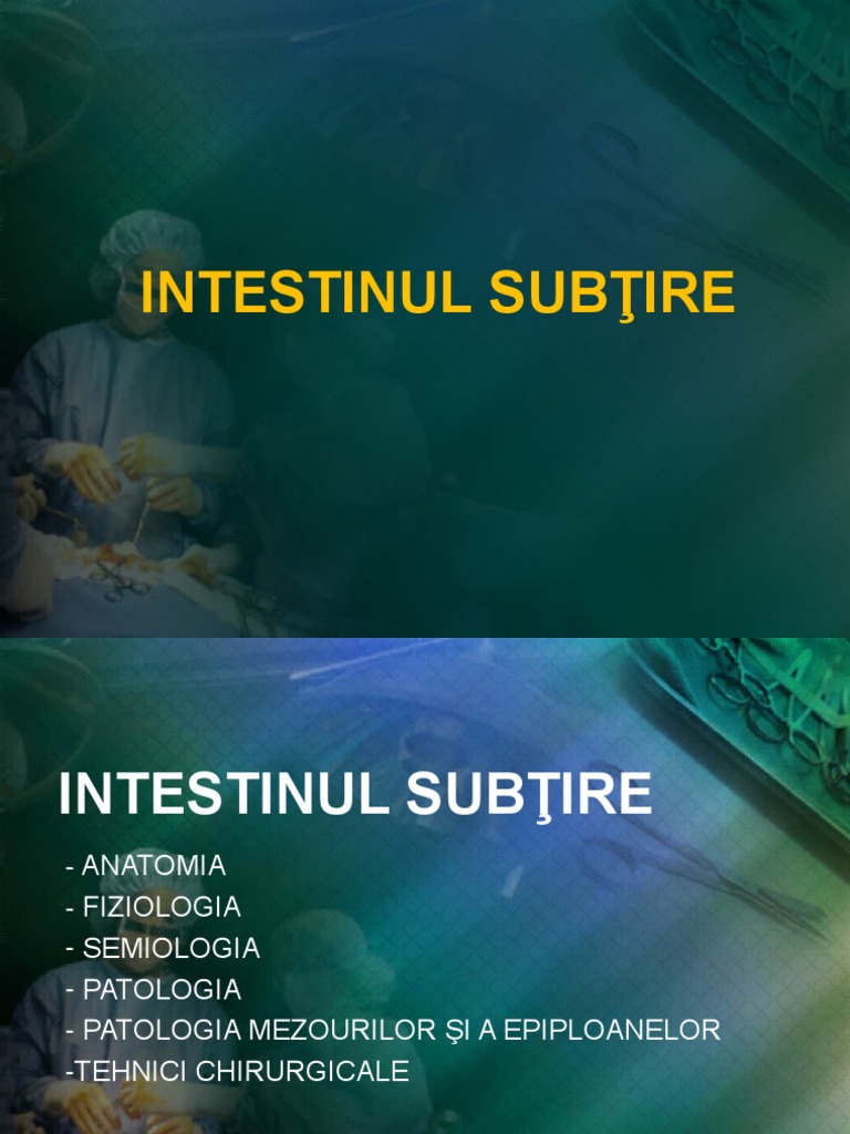 INTESTINUL SUBtIRE | PDF