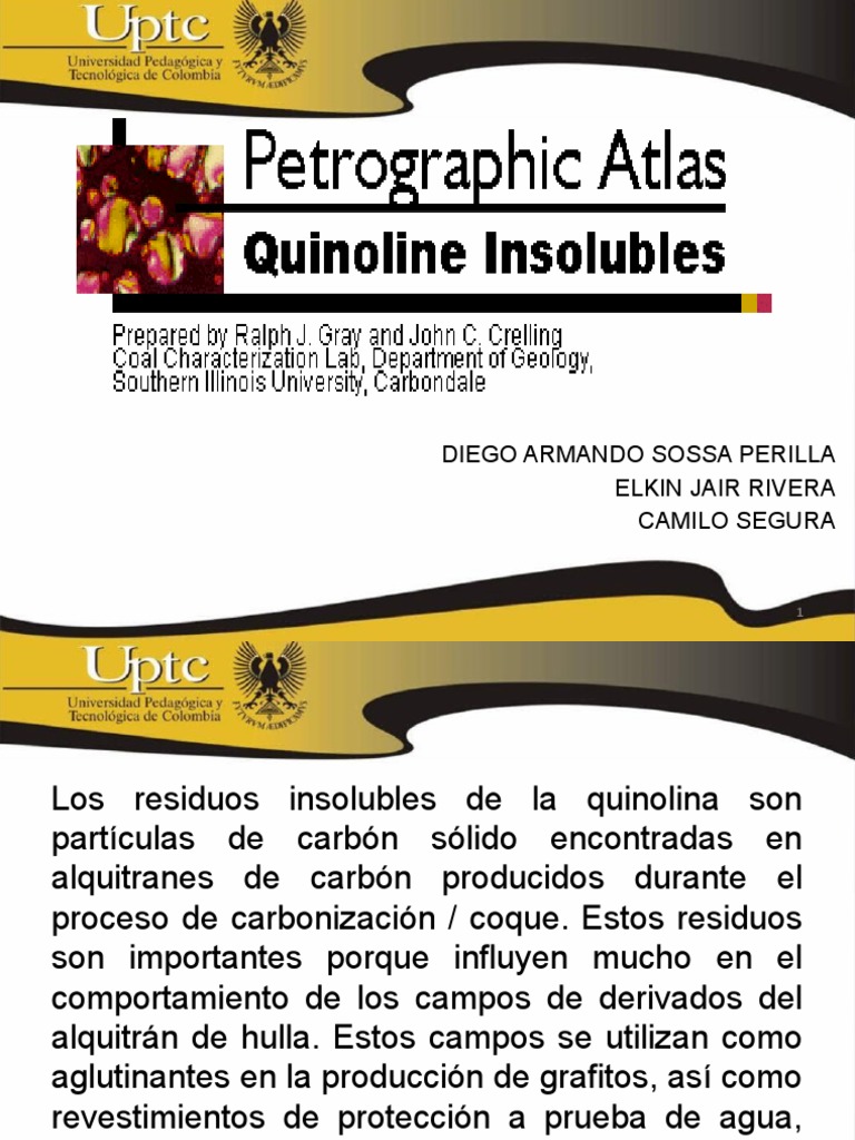 Presentación Quinolina | PDF
