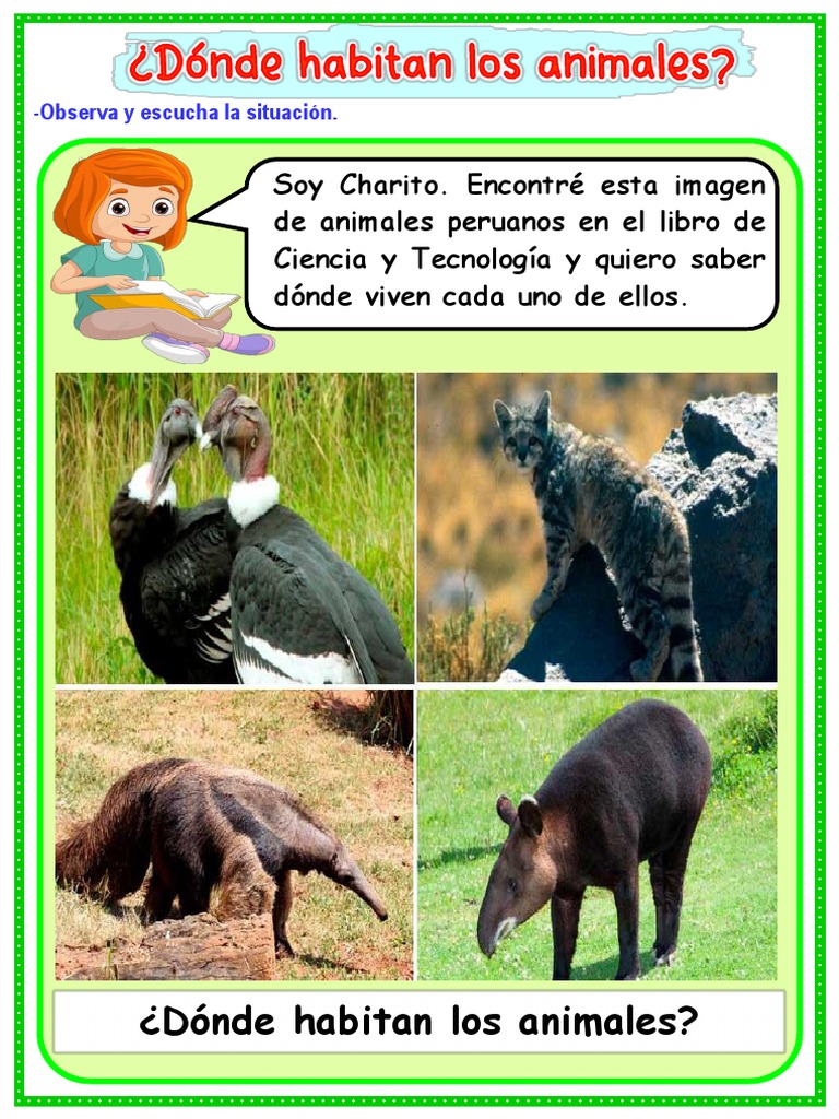 Ficha Donde Habitan Los Animales | PDF