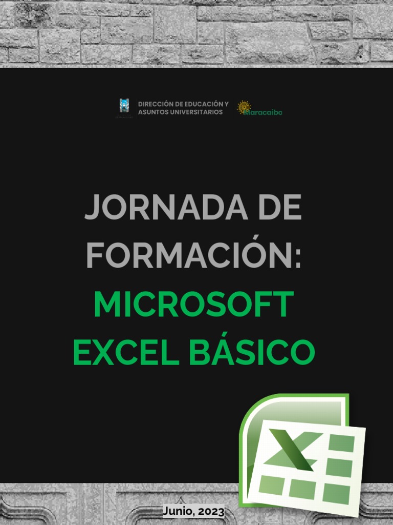Curso Básico - Excel Guía | PDF | Microsoft Excel | Hoja de cálculo