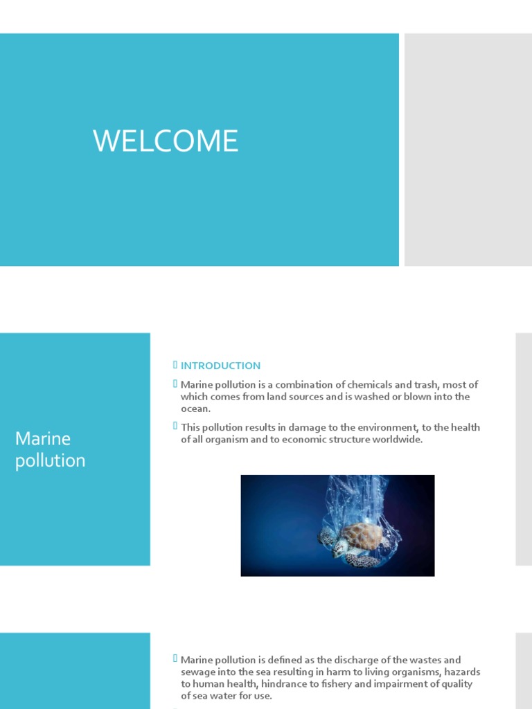 Marine Pollution | PDF | Sea | Pollution