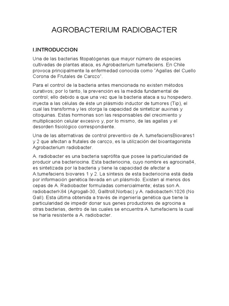 Agrobacterium Radiobacter | PDF | Las bacterias | Plásmido