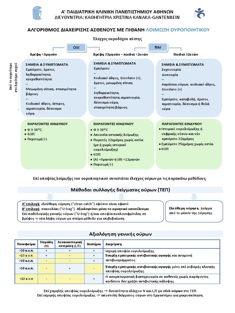 Διευθυντρια: Καθηγητρια Χριστινα Κανακα-Gantenbein | PDF