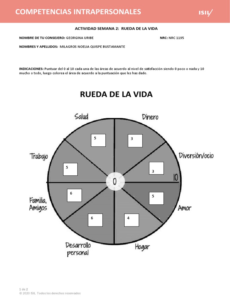 Actividad Rueda de La Vida Milagros Quispe | PDF