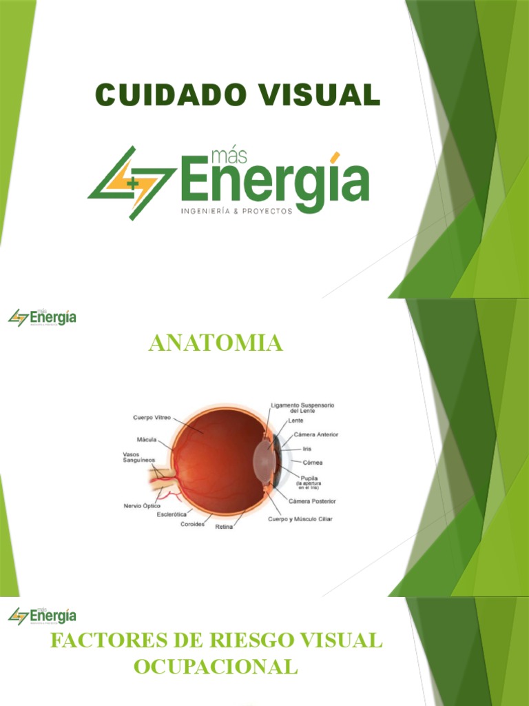 Cuidados Esenciales para la Vista | PDF