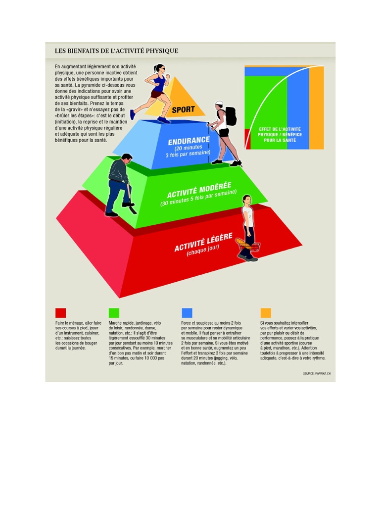 Pyramide Act Physique | PDF