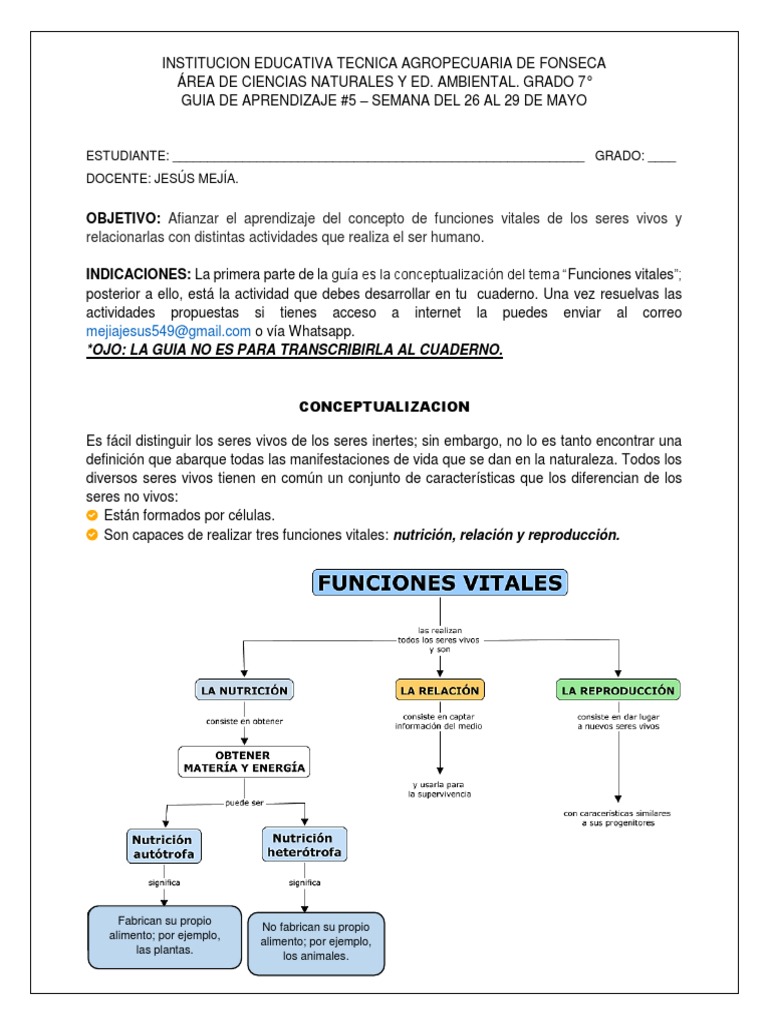 Funciones Vitales de los Seres Vivos | PDF | Organismos | Reproducción