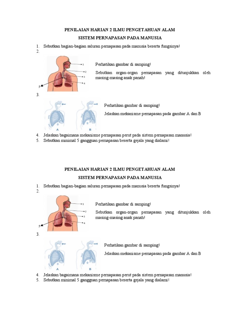 PH 2 IPA Sistem Pernapasan Manusia | PDF