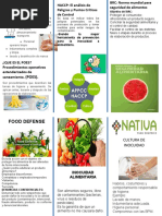 Tríptico Cultura de Inocuidad | PDF | Alimentos | Seguridad alimenticia