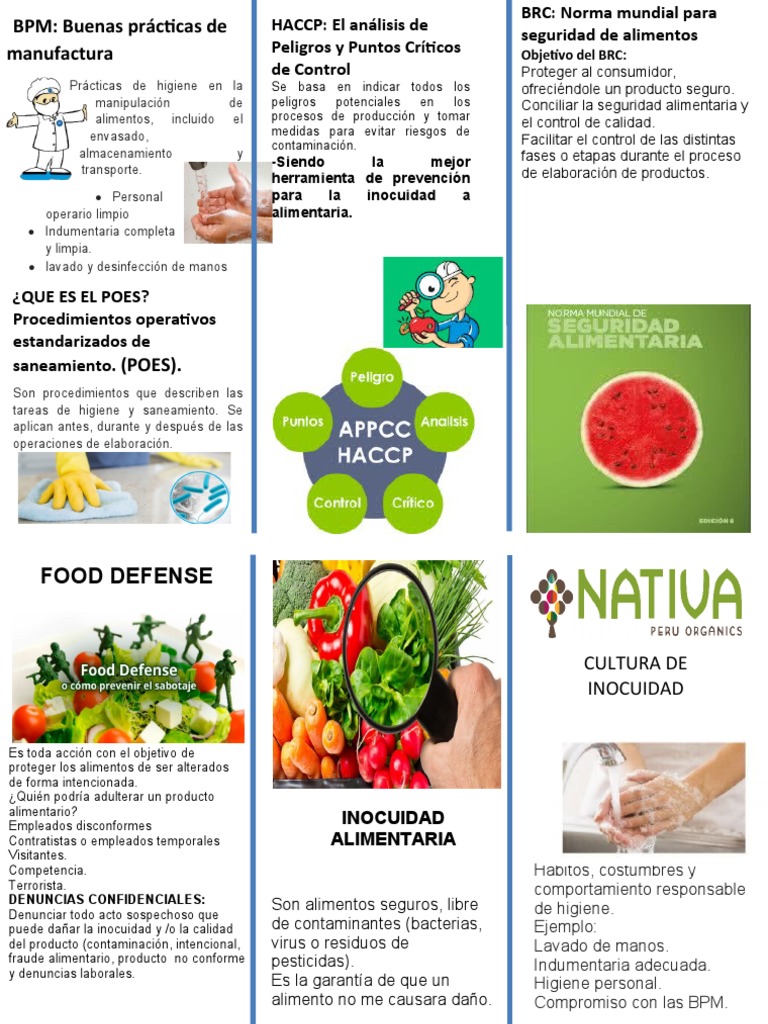 Inocuidad | PDF | Alimentos | Comida y bebida