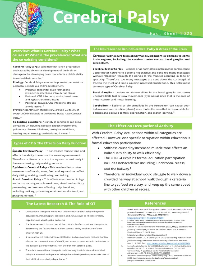 Cerebral Palsy Fact Sheet | PDF | Cerebral Palsy | Occupational Therapy