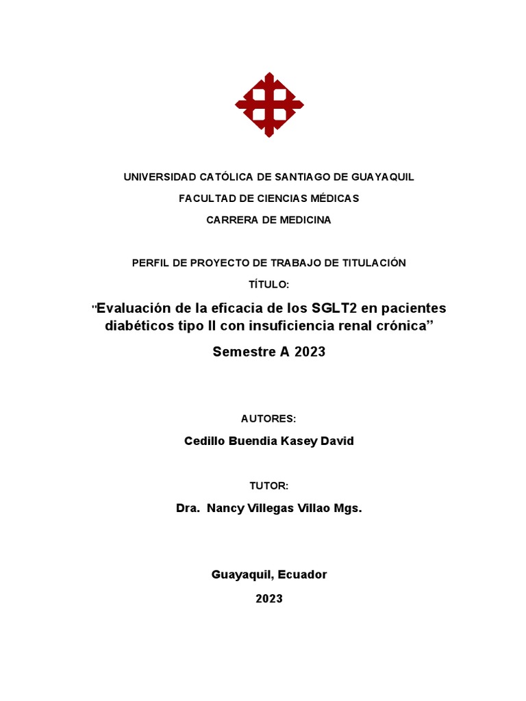 Presentación Del Perfil Del Proyecto de Investigación A 2023 | PDF ...