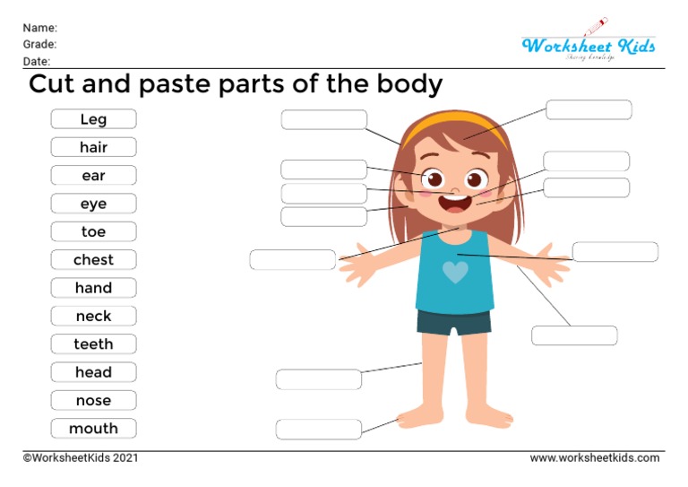 Body Parts Cut and Paste Worksheet | PDF | Art