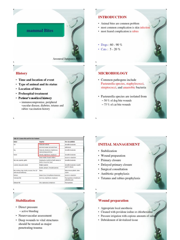 56712 Mammal Biteสอนปี5 | PDF | Wound | Health Sciences