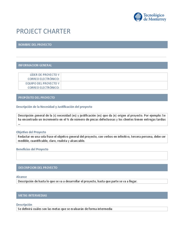 Formato Project Charter-Formato | PDF