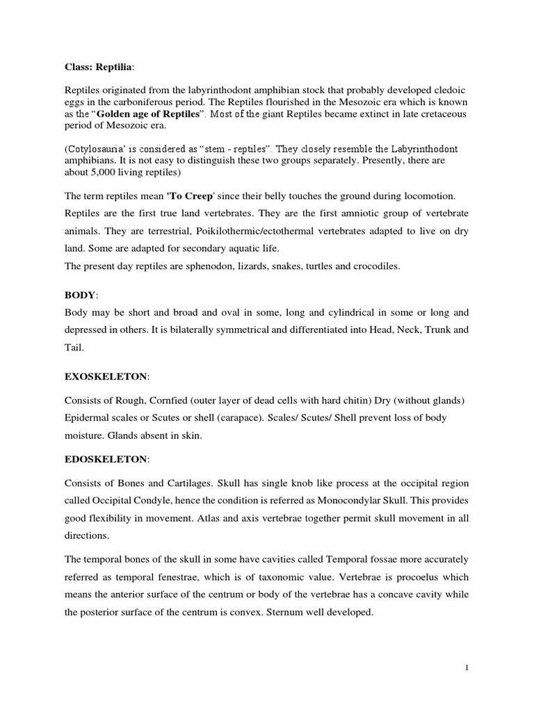 Reptilia-Characters & Classification | PDF | Reptile | Vertebral Column