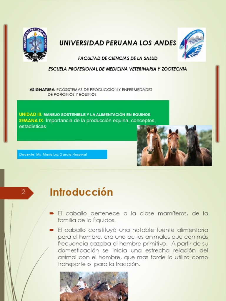 Semana 10. | PDF | Caballos | Équidos