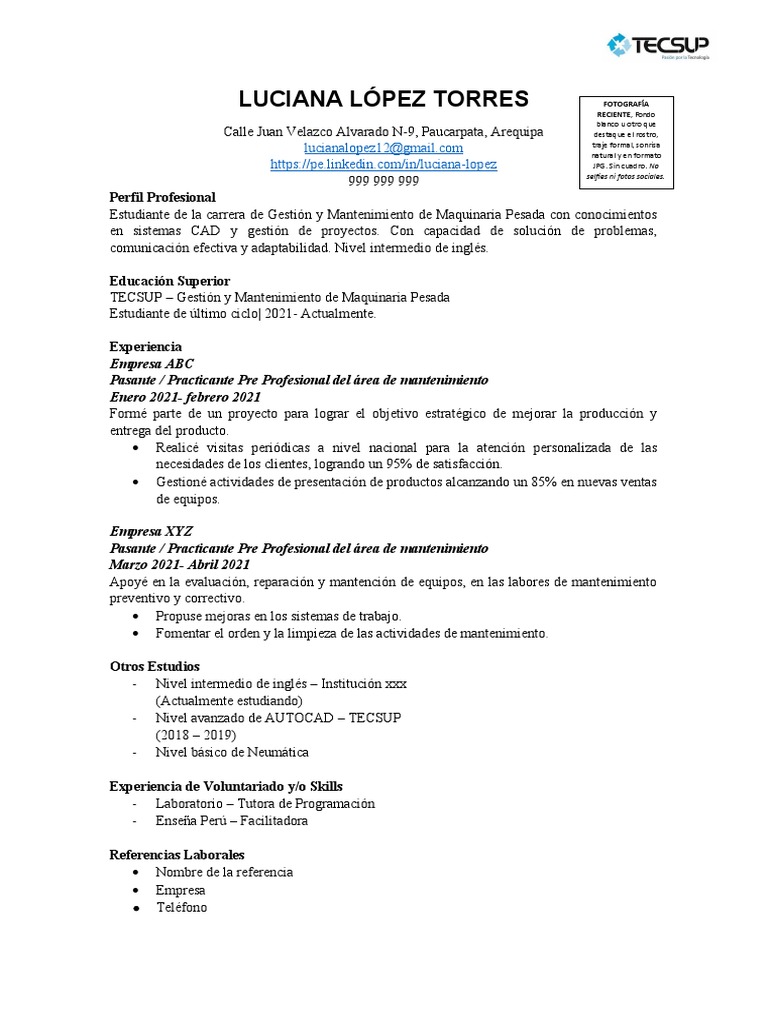 04 - Modelo de CV 2023-I | PDF