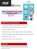 Kidney Stone Report | PDF