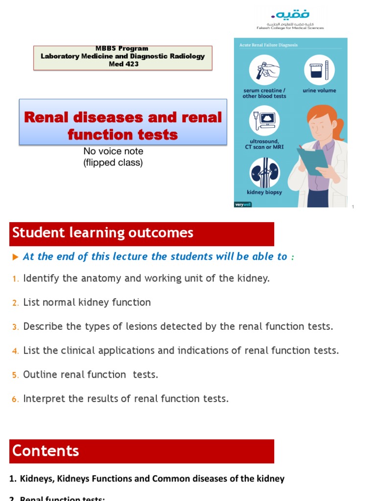 Renal Function Tests | PDF | Creatinine | Kidney